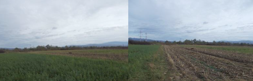 Teren agricol arabil in extravilan in suprafata de 2878 mp situat in ...