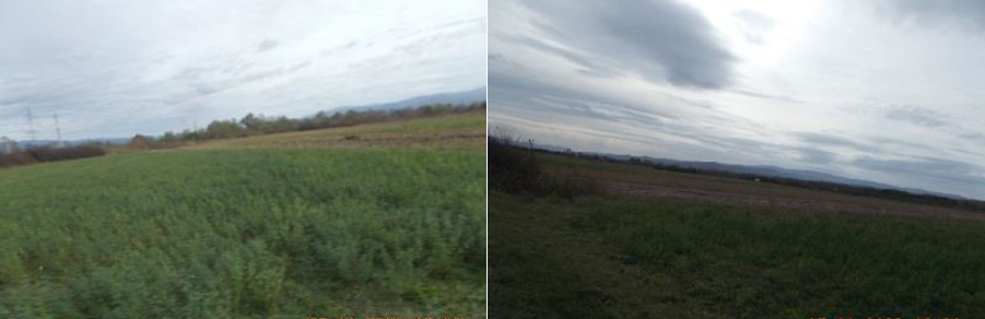 Teren agricol arabil in extravilan in suprafata de 2878 mp situat in ...